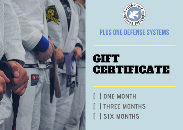 Gift Certificate • Plus One Defense Systems West Hartford CT Martial ...