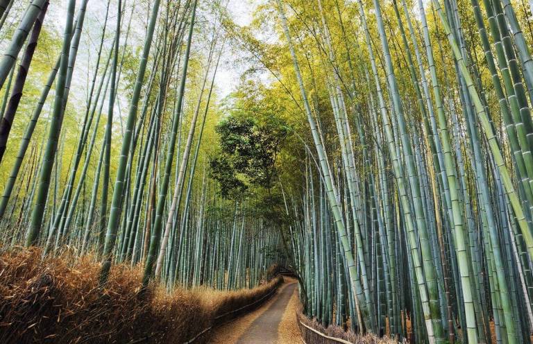 Martial Arts West Hartford CT • Self Defense Classes • Karate Class Kids